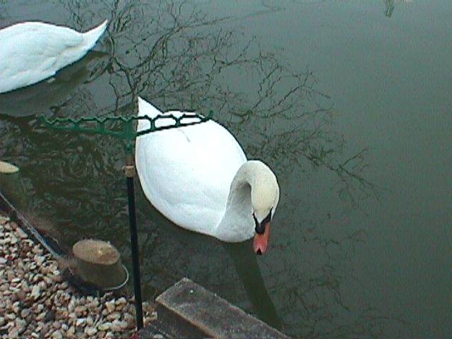 160203 Ladygrove Lakes