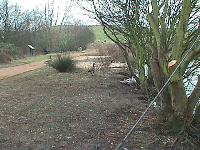 160203 Ladygrove Lakes