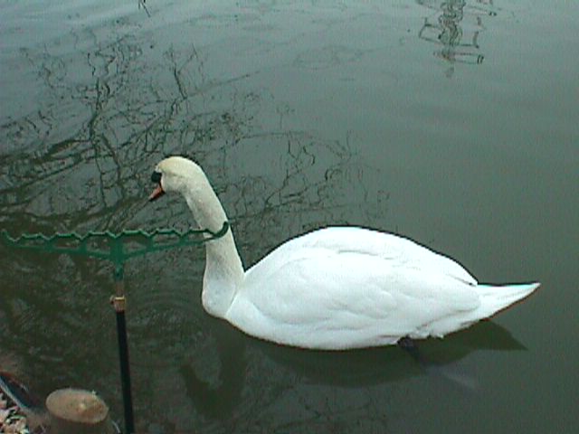 160203 Ladygrove Lakes