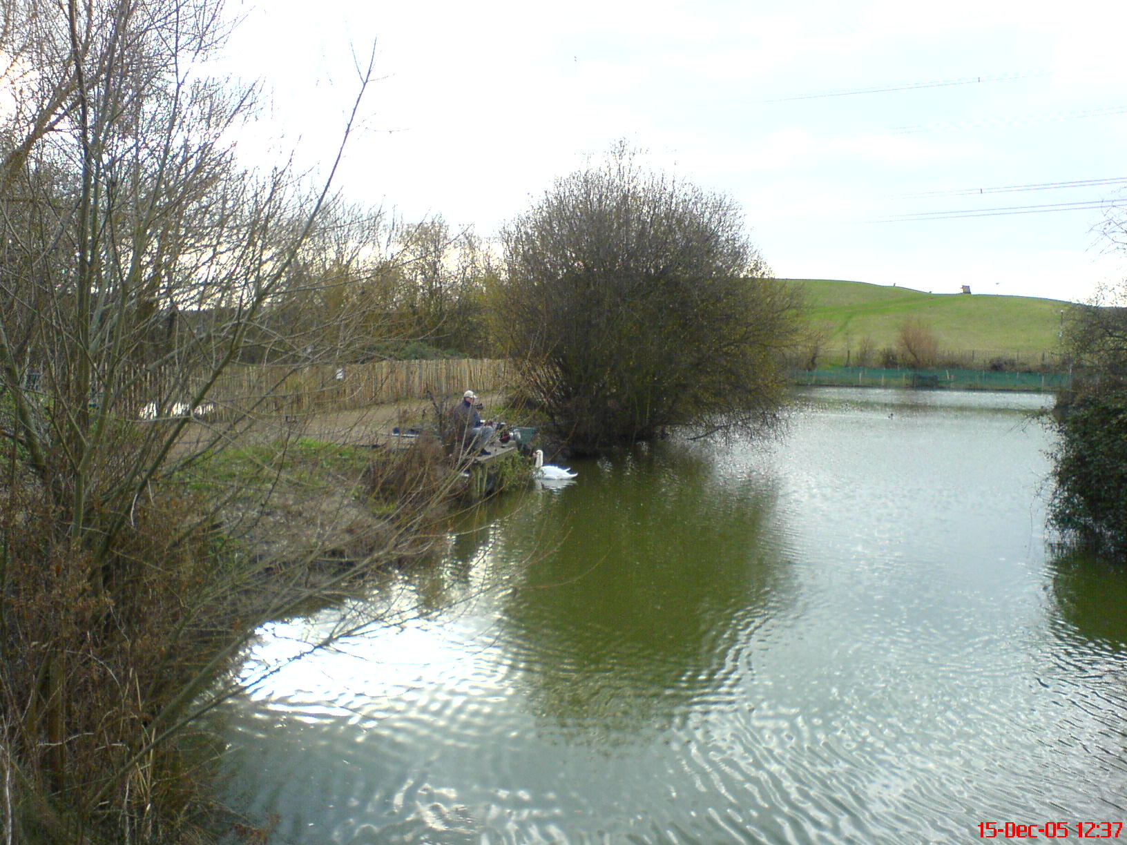 LAdyGrove Lakes