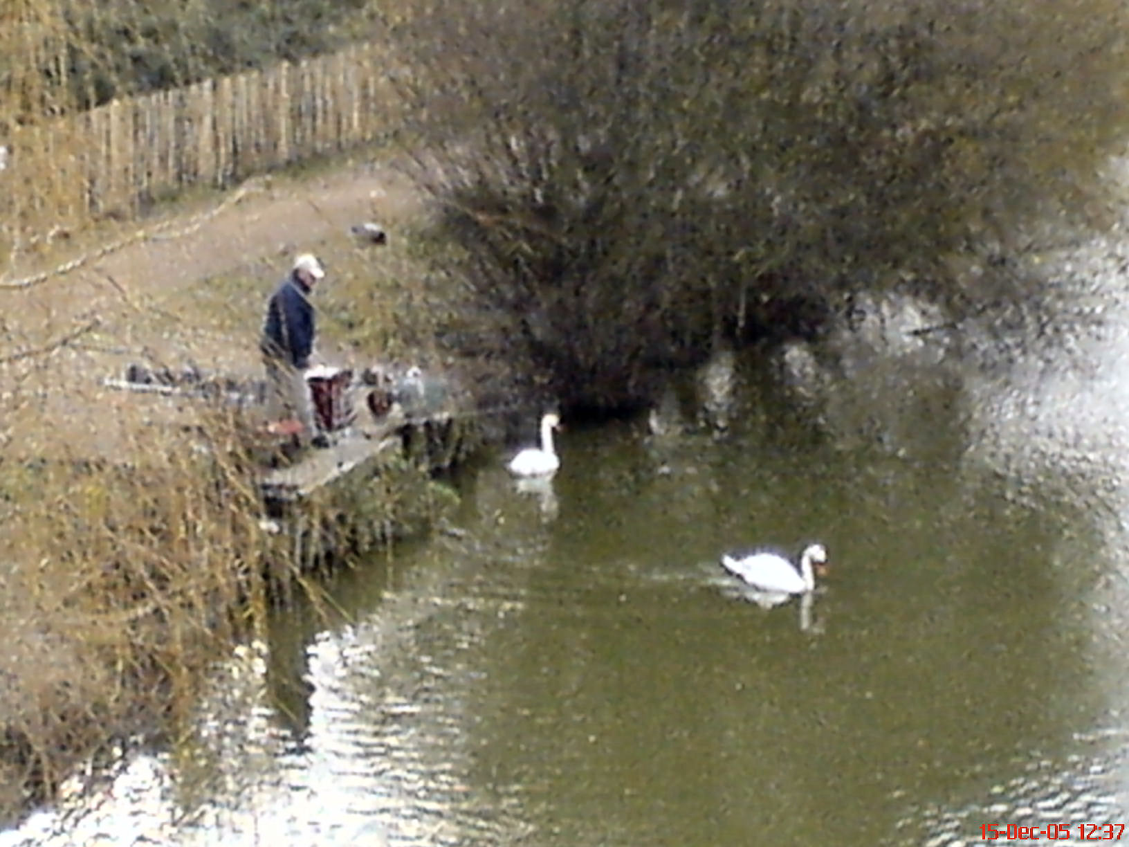 LAdyGrove Lakes