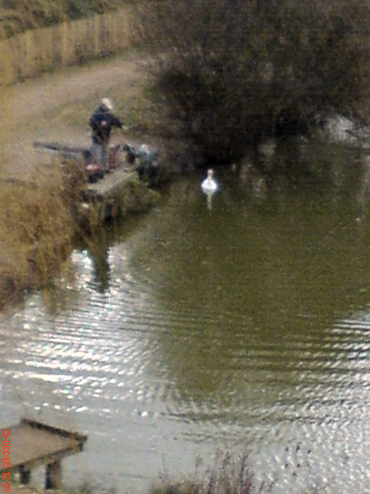 LAdyGrove Lakes