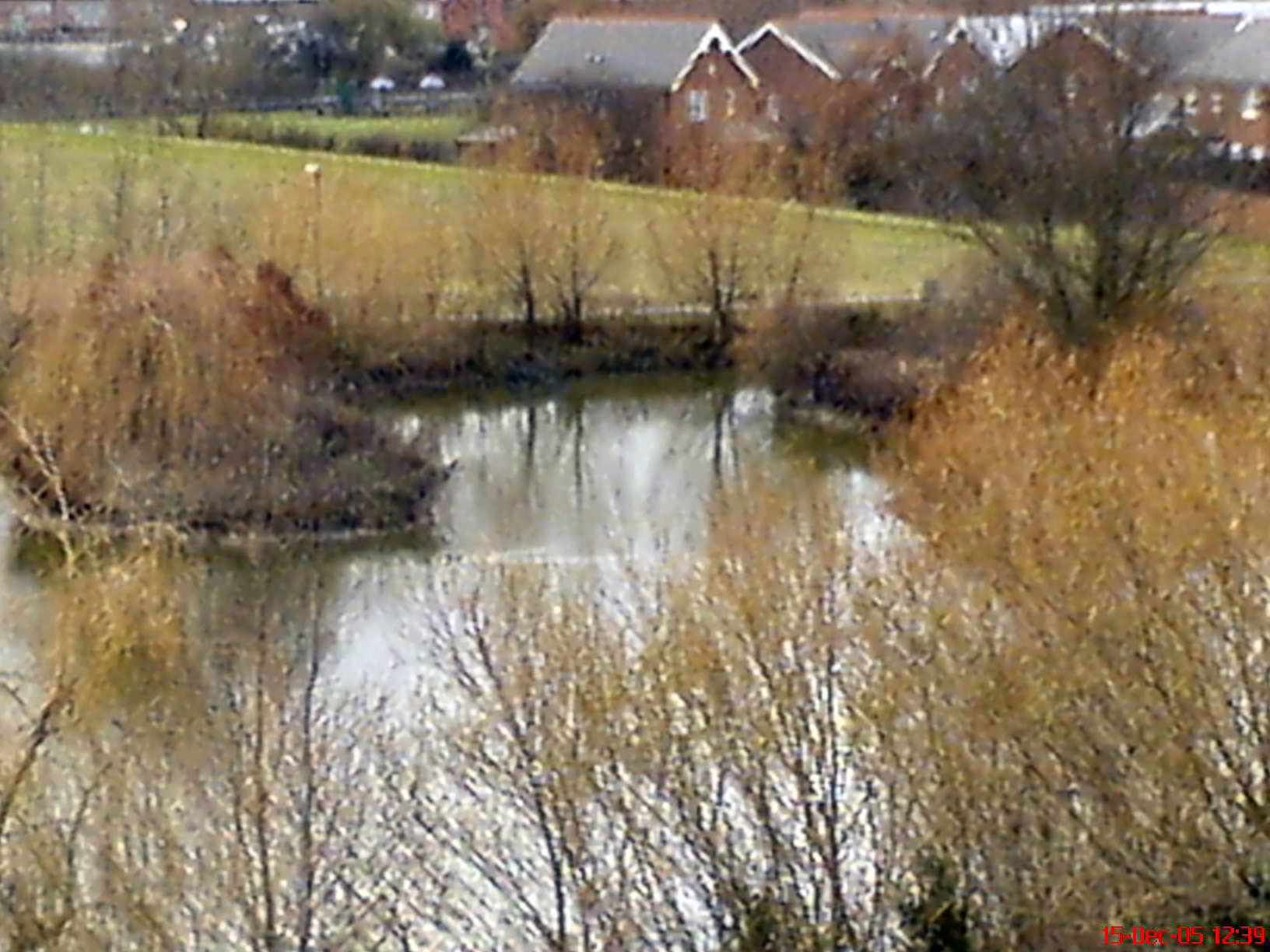 LAdyGrove Lakes