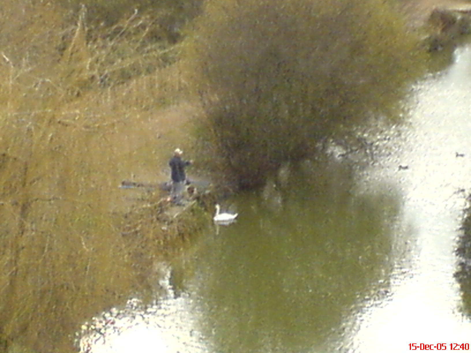 LAdyGrove Lakes