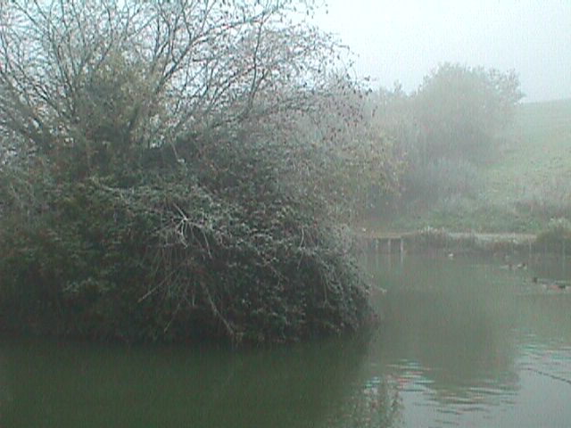 Ladygrove Lakes